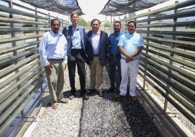 Ingeniería desarrolla producción de microalgas para impulsar la ...