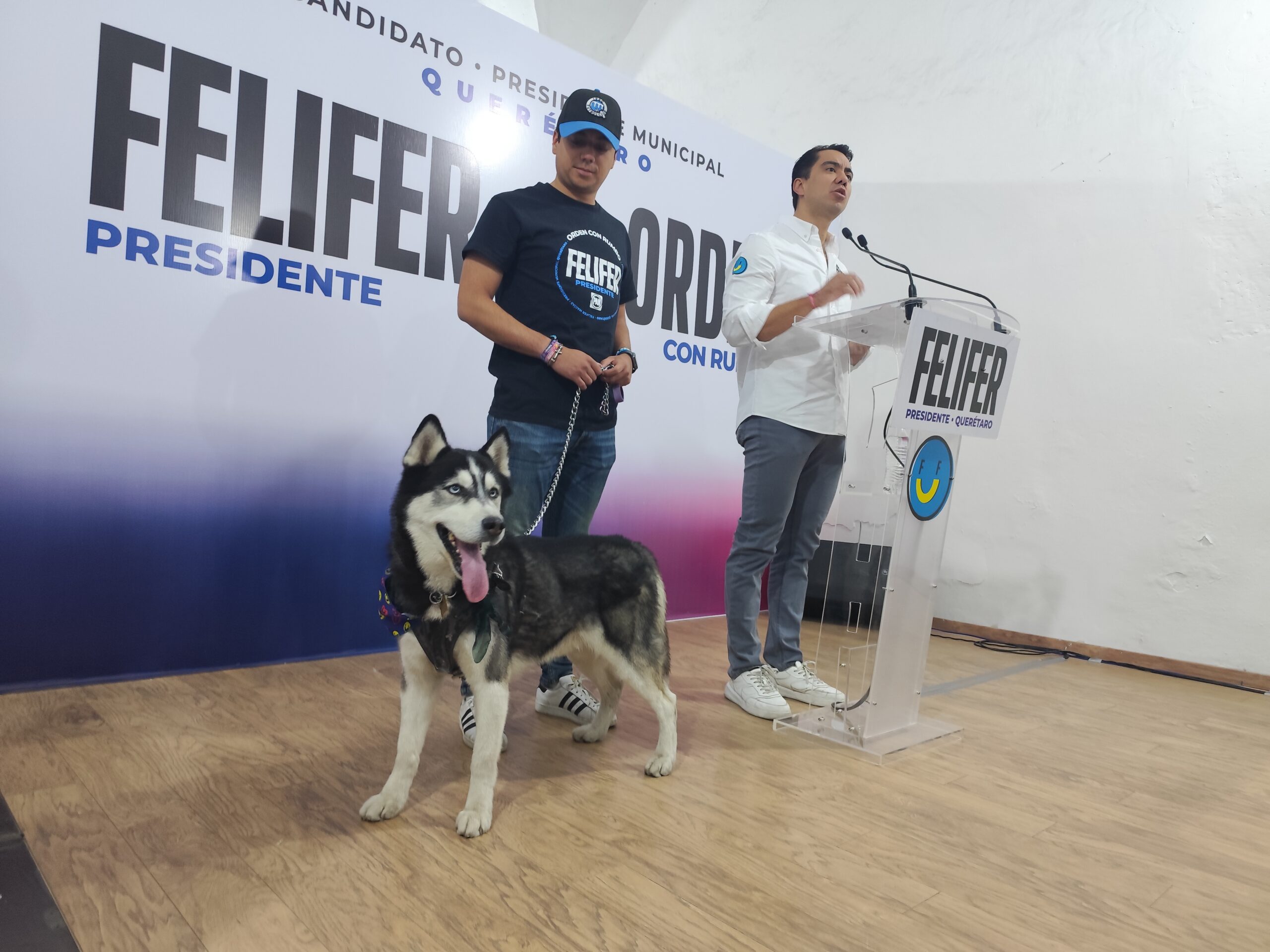 Busca FeliFer Macías crear la Secretaria de Cuidado Animal ...