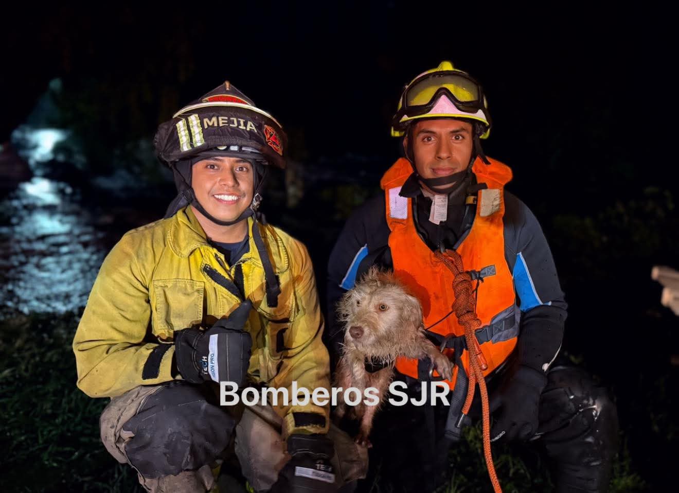 Rescatan a perrito atrapado en el río en San Juan del Río - Reqronexion ...